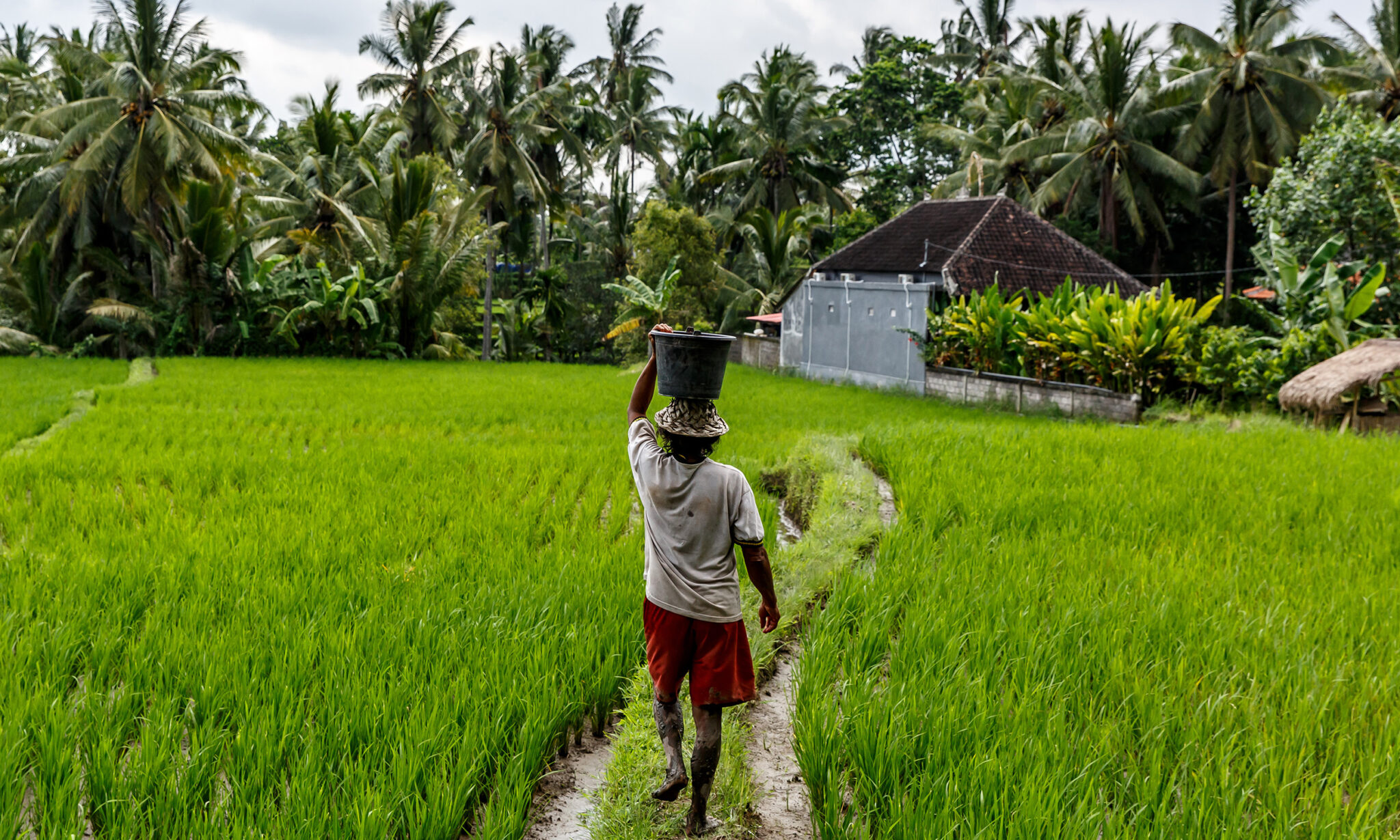 Impact International | Inspiring aGlobal Community Transformation